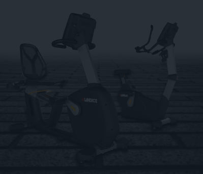 Landice Treadmills Ellipticals Bikes – Landice Online Store